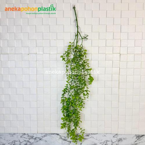 Jual Daun Hias Artificial Daun Juntai Ekaliptus Hijau Latex Rambat ...