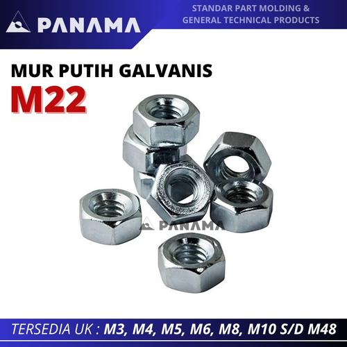 Jual Mur Putih Galvanis M22 Mur Baut M22 Pitch 2.5 Warna Putih Bahan ...