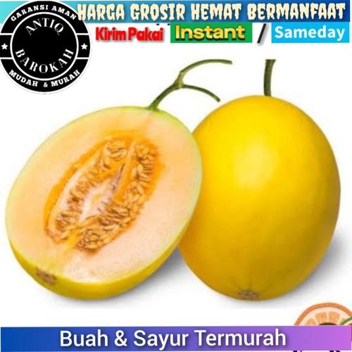 Jual HEMAT 3pcs Buah Melon Golden Manis Kuning Segar Fresh Renyah Kres ...