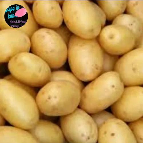 Jual Kentang Dieng Besar 1 Kg | Kentang Segar - Kota Tangerang Selatan ...