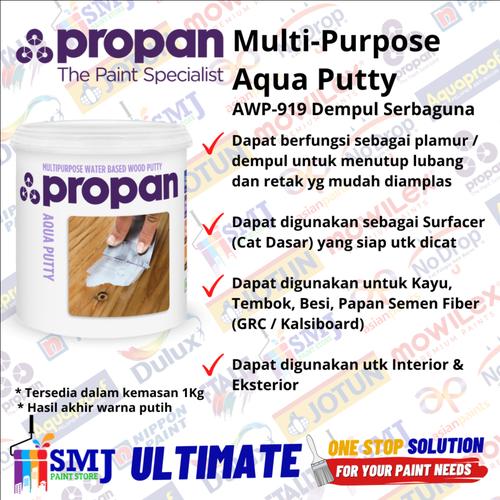 Jual Dempul Kayu Duco PROPAN AQUA WOOD PUTTY AWP-919 Putih / White 1kg ...
