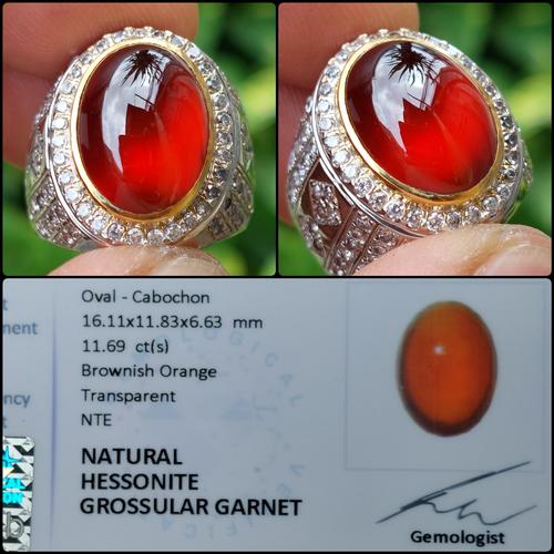Promo Natural Hessonite Garnet Crystal Body Glass Good Luster Cabochon Gems Batu Permata Merah ...