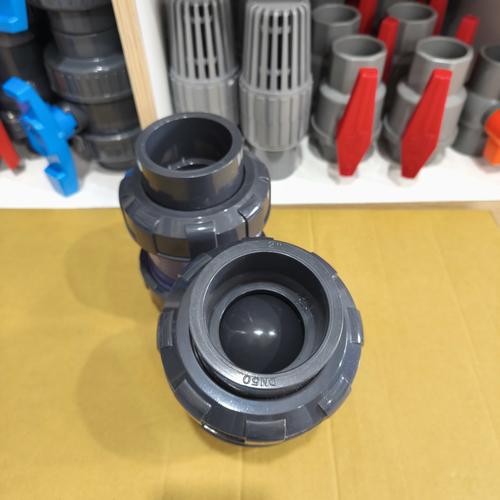 Jual Check Valve Pipa 2 inch Boost / Valve Pompa Filter Kolam Renang ...