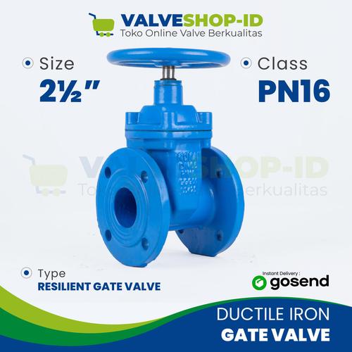 Jual Resilient Gate Valve 2 1/2" Inch PN16 Ductile Iron GGG50 - Kota ...