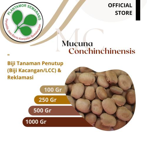 Jual BENIH MC 1 KG / MUCUNA COCHINCHINENSIS / BENIH LCC (LEGUME COVER ...