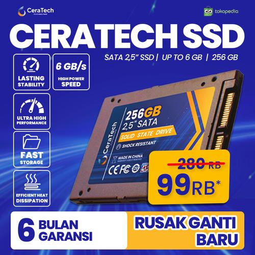 Jual SSD 2.5 SATA DAN m2 SATA 256GB HARGA TERMURAH DI VALENTINE 6GB/s ...