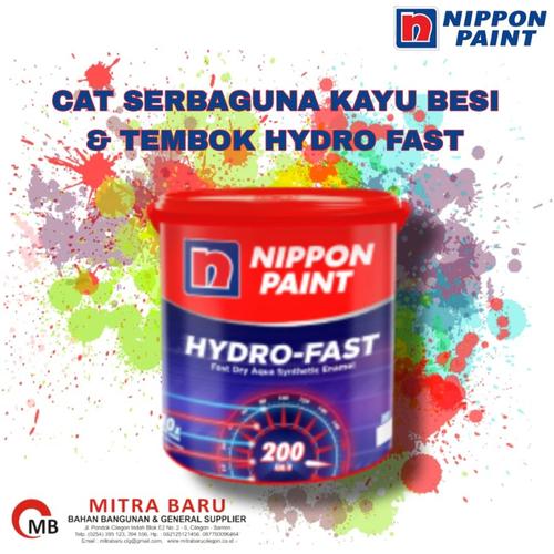 Jual CAT KAYU BESI DAN TEMBOK NP HYDRO-FAST 20 LITER / Cat Kayu Besi ...