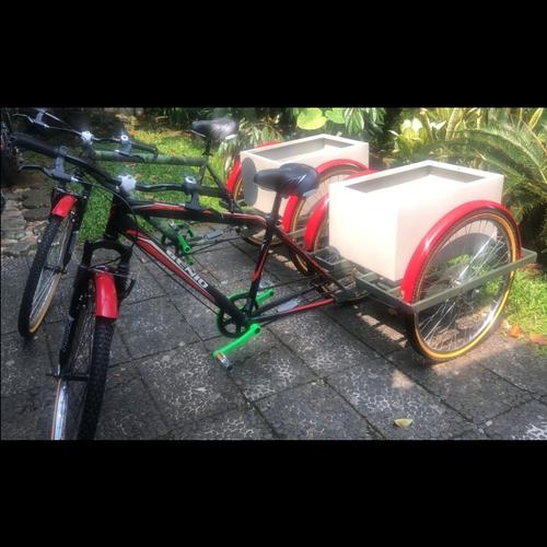 Jual SEPEDA RODA TIGA DEWASA CARGO BOX - BAK TERBUKA - MTBSusBox ...