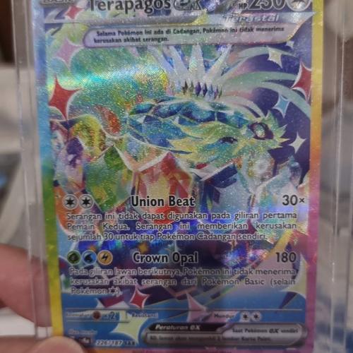 Jual Terapagos ex SAR - Festival Terastal ex sv8a - Pokemon Indonesia - Pokemon TCG - Jakarta ...