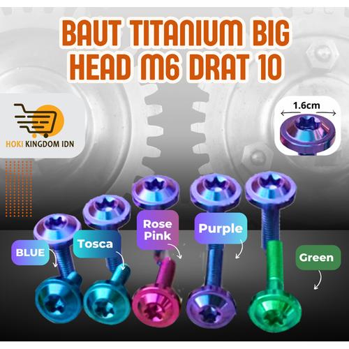 Jual Baut Titanium Gr5 Big Head M6 x 10 15 20 25 30 35 40 Drat 10 Vior Asli Thailand - Rose pink ...