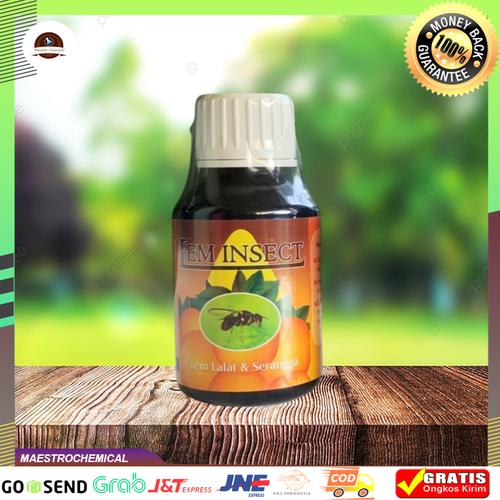 Jual lem lalat buah LEM INSECT @ 75 ML basmi lalat pada buah & daun ...