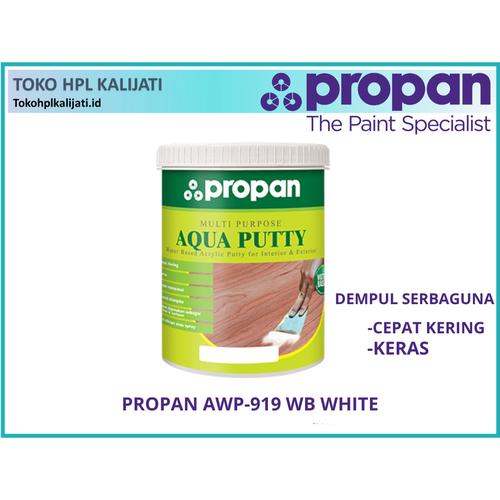 Jual DEMPUL KAYU SERBAGUNA I PROPAN WOOD PUTTY AWP-919 WB WHITE I ...