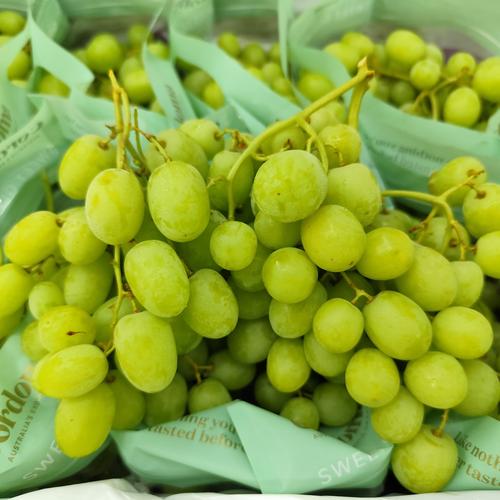 Jual Anggur hijau | anggur hijau tanpa biji | anggur ijo manis - 1 kg ...