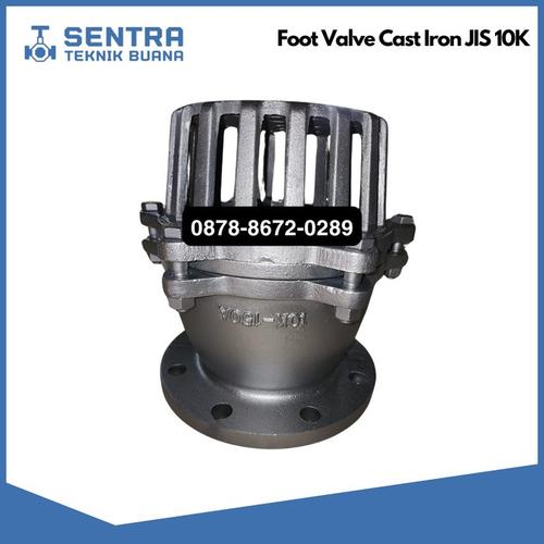 Jual 2-1/2" Foot Valve Cast Iron Flange JIS 10K / Foot Valve Flange 10K ...