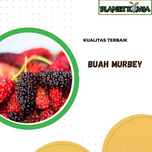 Jual ekstrak,dried,serbuk buah murbey best product - Kota Depok ...