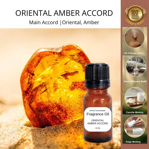 Jual Fragrance Oil Oriental Amber Accord 10ml | Esential Oil - Jakarta ...