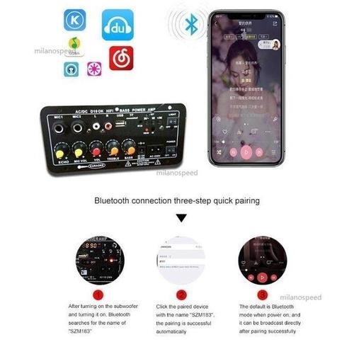 Jual 1000W Amplifier Board Audio 12V/24V/220V Bluetooth USB Radio TF DIY Speaker Woofer Ampli ...