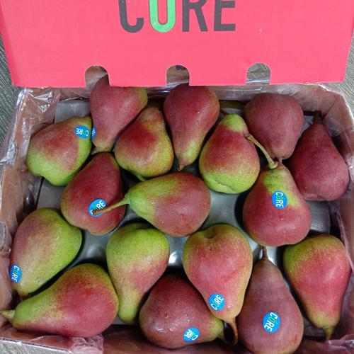 Jual Pear forelle | buah pear forelle | pear fresh - 1kg - 1 pack ...