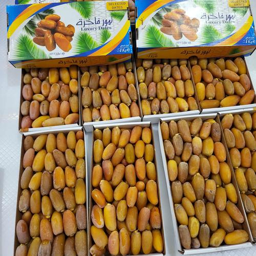 Jual Kurma muda Ruthob Libya 1kg Premium Box Libyan Dates - Kota Bekasi ...