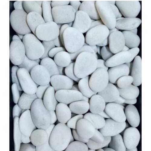 Jual Batu Tabur Kupang / Batu Taman / Batu Kupang 1 Kg - Kab. Bogor ...