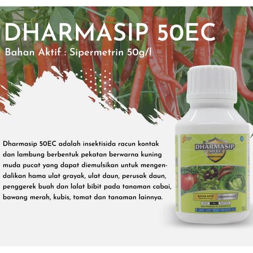 Jual Insektisida Dharmasip 50ec 400ml - obat racun ulat grayak, ulat ...
