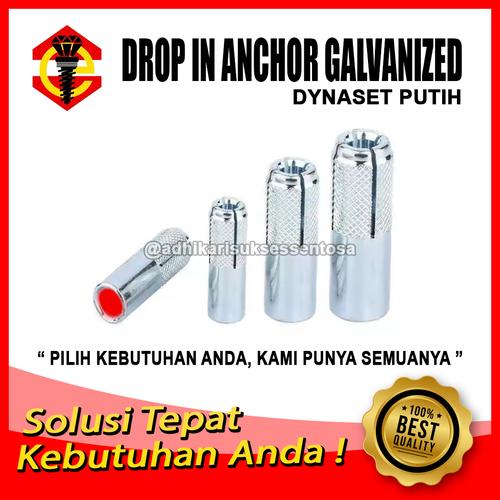 Jual Dynaset M12 / Dinaset 12 MM / Drop In Anchor M12x16x50 GALVANIZED ...