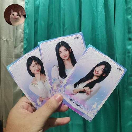 Jual PHOTOPACK JKT48 WONDERLAND 13TH ANNIVERSARY - Oline+Erine - Kab ...