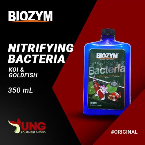 Jual Biozym Nitrifying Bacteria Highly Concentrate Formula for Goldfish ...