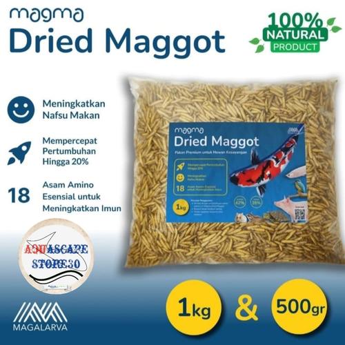 Jual maggot kering 1kg Grade A+ premium super pakan ikan channa predator arwana koi / maggot bsf ...