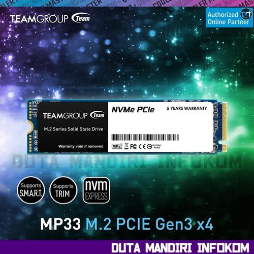 Promo Team MP33 SSD 256GB I 512GB I 1TB I 2TB - M.2 2280 NVMe PCIe Gen3 ...