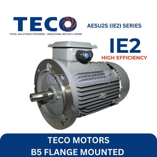 Promo Dinamo Motor Teco IE2 1,1kW 1,5HP 220V/380V 3 Phase B5 Flange - 3000 RPM 2 POLE - Jakarta ...