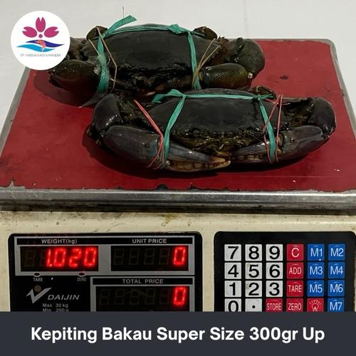 Jual Kepiting Bakau Mati Fresh atau Frozen size 3ons up ( 1kg ) - Kota ...
