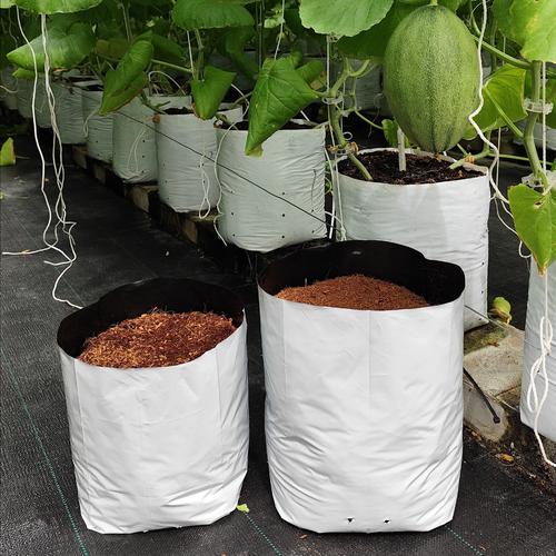 Jual Polybag Putih Hitam 40x40 / Polybag Putih Hitam 35x35 / Polybag ...