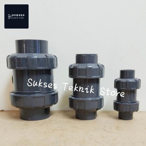 Jual True Union Ball Check 2" inch / DN50 Ball Check Valve Double ...