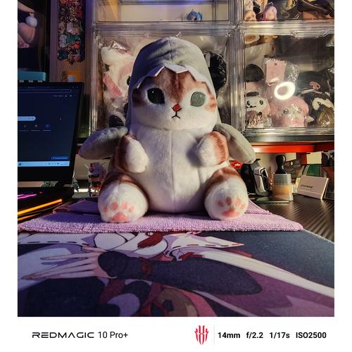 Jual Boneka Mofusand Shark Nyan Cat Great White Shark Grey BIG Ver ...