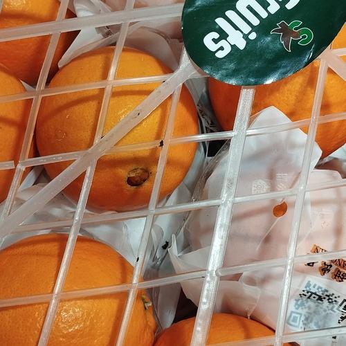 Jual Jeruk navel RRC 1kg - Kab. Tangerang - Toko Winatalia | Tokopedia