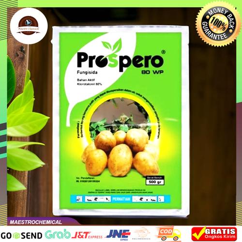 Jual PROSPERO 80 WP (500 Gram) - FUNGISIDA ATASI HAMA JAMUR & HAWAR DAUN - Kota Tangerang ...