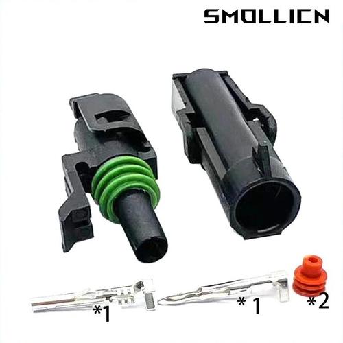 Jual 2/5/10/20 Sets 1 Pin 12015791 Delphi 2.5Mm Series 12010996 Auto ...