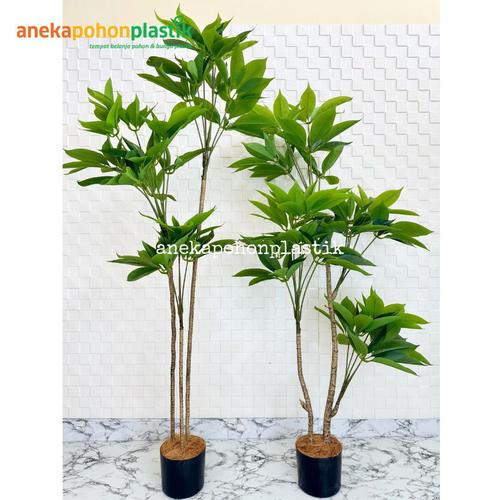 Jual Pohon Artificial Pohon Daun Manggis Variasi Tinggi 150 & 170 Pot ...
