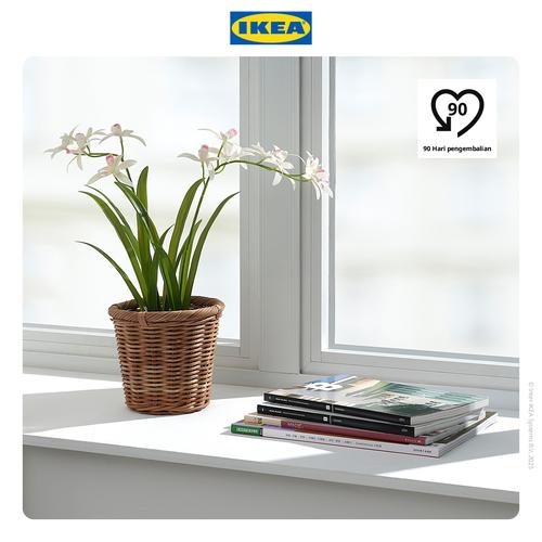 Jual IKEA FEJKA Tanaman Tiruan Dalam Pot Anggrek Kuning 12cm Bunga ...
