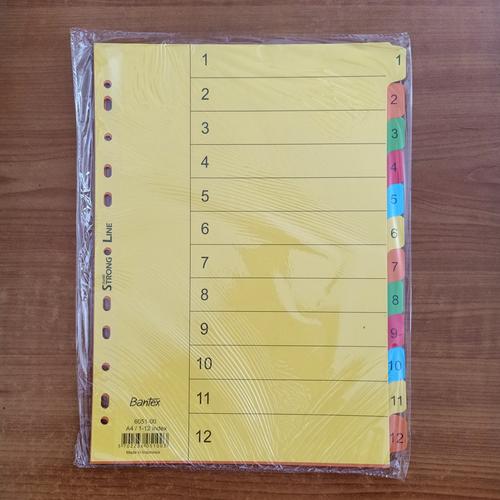 Jual Pembatas Kertas File Dokumen Bantex Cardboard Divider A4 - 12 ...
