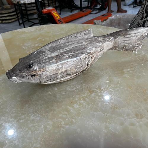 Jual Petrified Wood Fish Polish - Kab. Badung - Bali Petrified wood ...