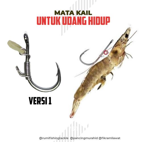 Jual Mata kail untuk udang hidup agar umpan udang hidup bertahan hidup ...