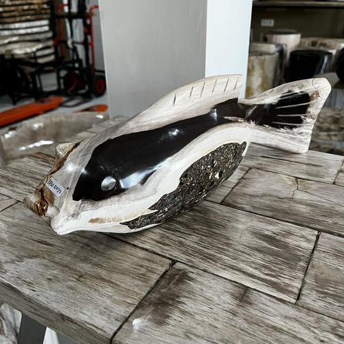 Jual Petrified Wood Fish Polish - Kab. Badung - Bali Petrified wood ...