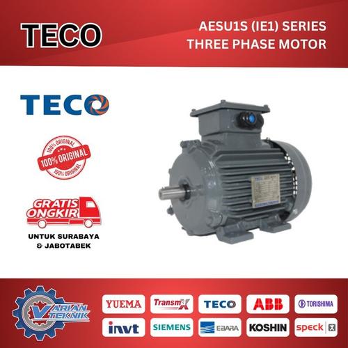 Promo TECO IE1 2P/3000RPM 15HP/11KW Frame 160 B3 Foot Mounted | Teco Electric Motor AESV1S ...