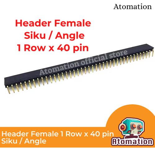Jual Pin Header DuPont Female Tekuk Bengkok Angle Siku L 1x40 2.54mm ...