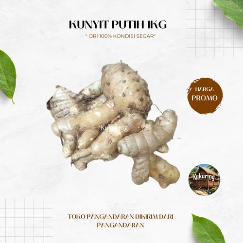 Promo KUNYIT PUTIH SEGAR TEMU KUNIR 1KG CURCUMA ZEDOARIA - 1 Kg - Kab ...