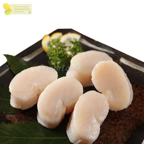 Jual Kerang Kupas Segar Scallop Kerang Kapak Seafood Daging Kerang Laut ...