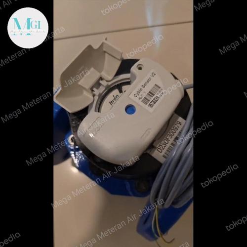 Jual Water Meter Itron Woltex 3 Inch With Cyble-Meteran Air + Kalibrasi ...