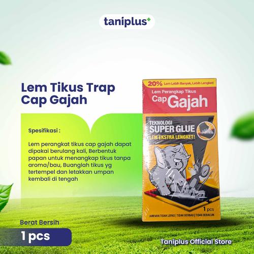 Jual Lem Tikus Trap Papan Cap Gajah - Kota Surabaya - Taniplus Official ...